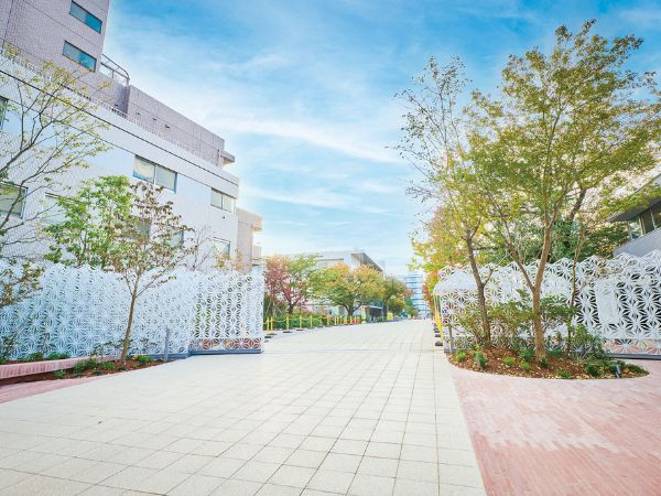 Announcement regarding the 2025 Graduate School Open Campus | Showa Women's University
